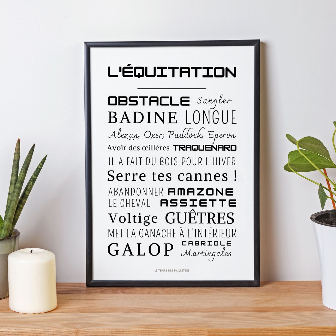 Horse Riding Poster Horse Riding Words and Expressions Poster Horse ...