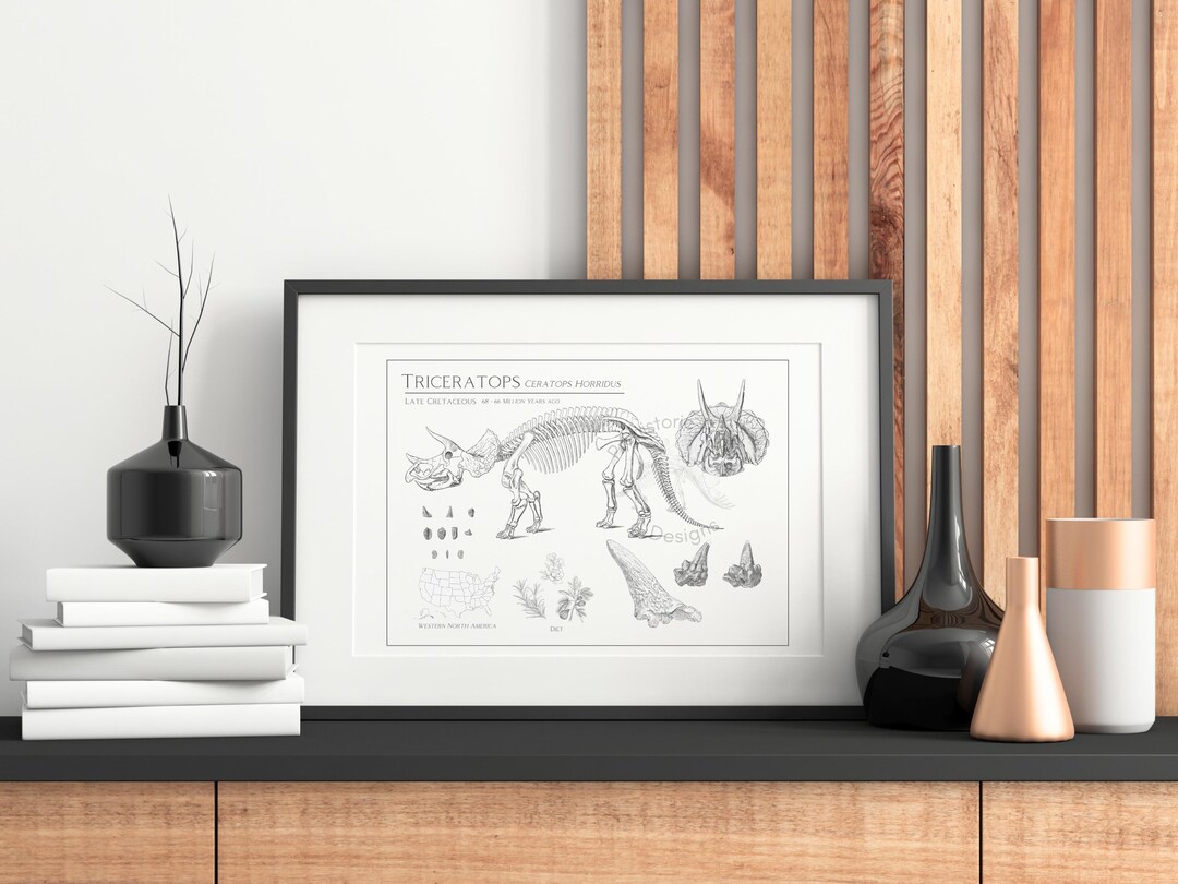 Dino Digital Art - Vintage Triceratops Fossil Illustrations - Paleoart ...