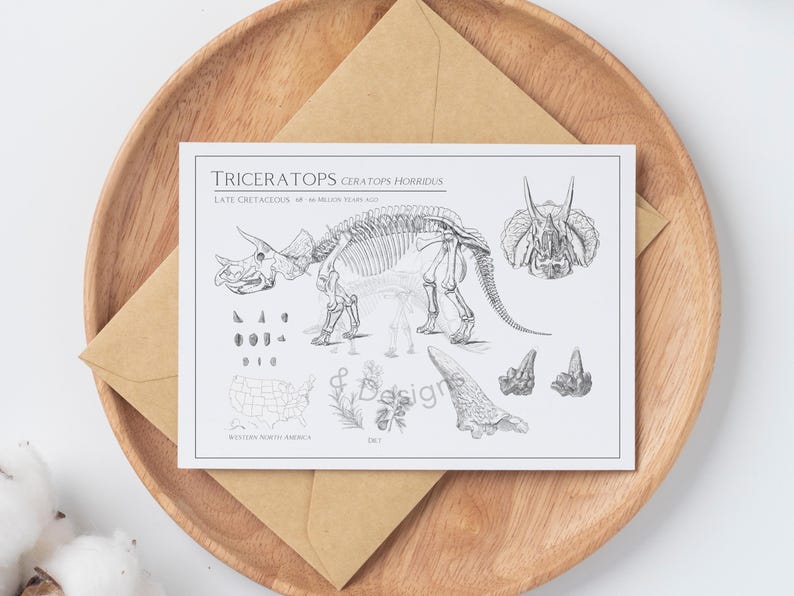 Dino Digital Art - Vintage Triceratops Fossil Illustrations - Paleoart ...