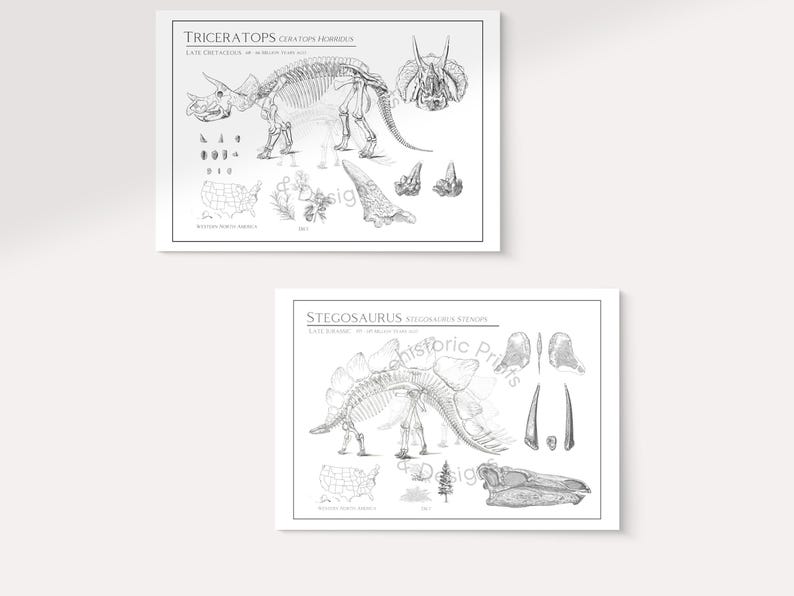 Dino Digital Art - Vintage Triceratops Fossil Illustrations - Paleoart ...