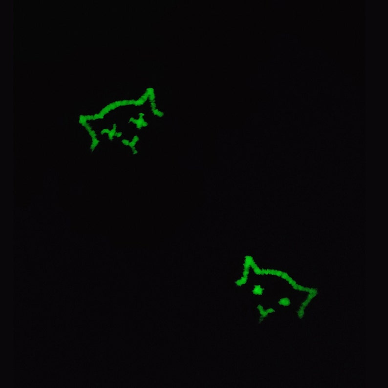 Necklace SCHRODINGER'S CAT, in the Box, Two Sided, Quantum Mechanics ...