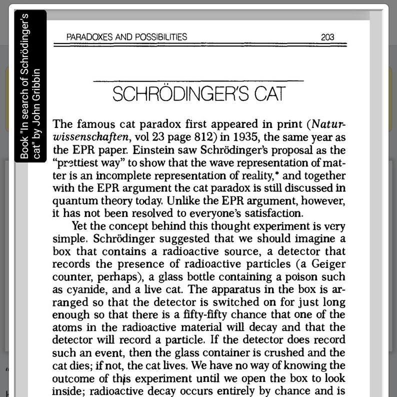 Necklace SCHRODINGER'S CAT, in the Box, Two Sided, Quantum Mechanics ...