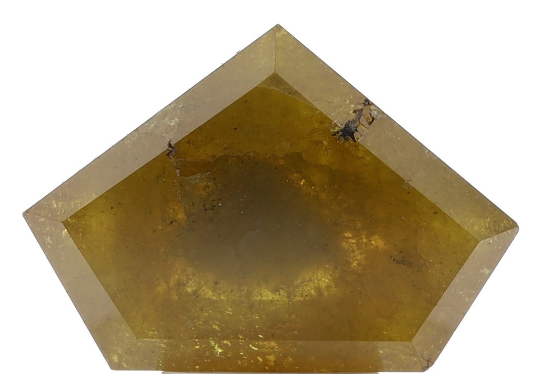 3.13CT Pentagon Cut Natural Loose Diamond, EGL Certified Natural ...