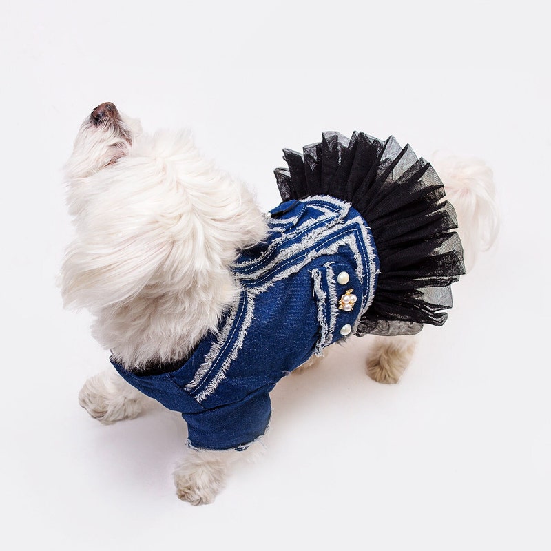 Designer Dog Clothes - Etsy