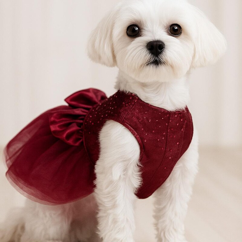 Small Dog Dress - Etsy