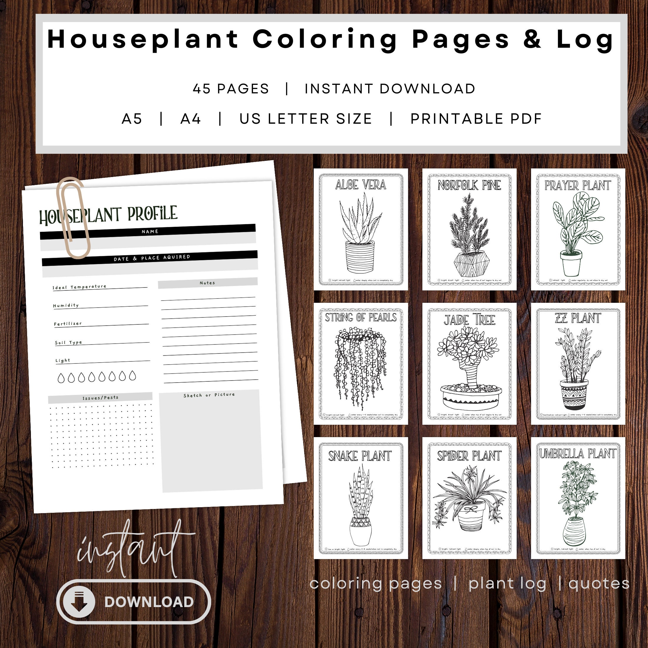 Houseplant Coloring Book Coloring Pages Printable Coloring - Etsy