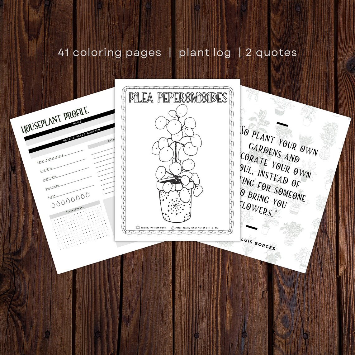 Houseplant Coloring Book, Coloring Pages Printable, Coloring Pages for ...