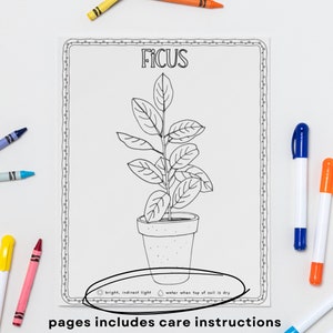 Houseplant Coloring Book, Coloring Pages Printable, Coloring Pages for ...