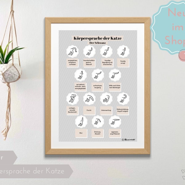 Cat Language - Etsy