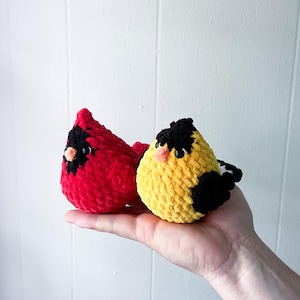 PATTERN "backyard Birds” Crochet Birds | 4 in 1 Pattern | Amigurumi ...