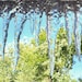 Realistic Acrylic Icicles - Etsy