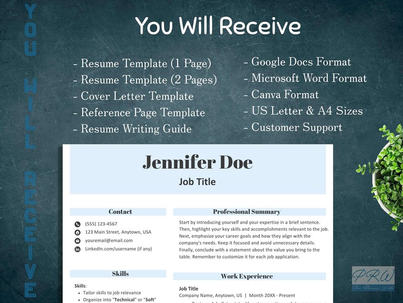 Google Docs, Word, and Canva Resume Template, ATS Friendly Resume, ATS ...
