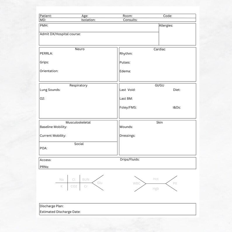 Nurse Report Sheet for 1 to 2 Patients Icu Pcu Med Surg - Etsy
