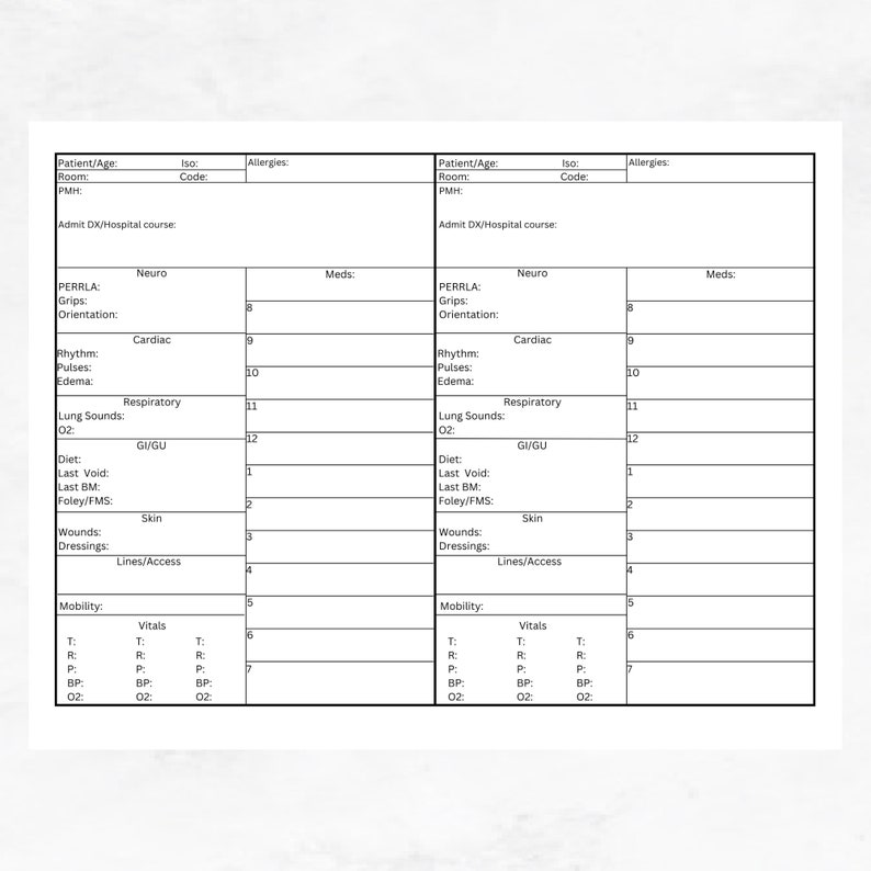 Nurse Report Sheet for 2 to 4 Patient, Medication to Do List, Icu, Pcu ...