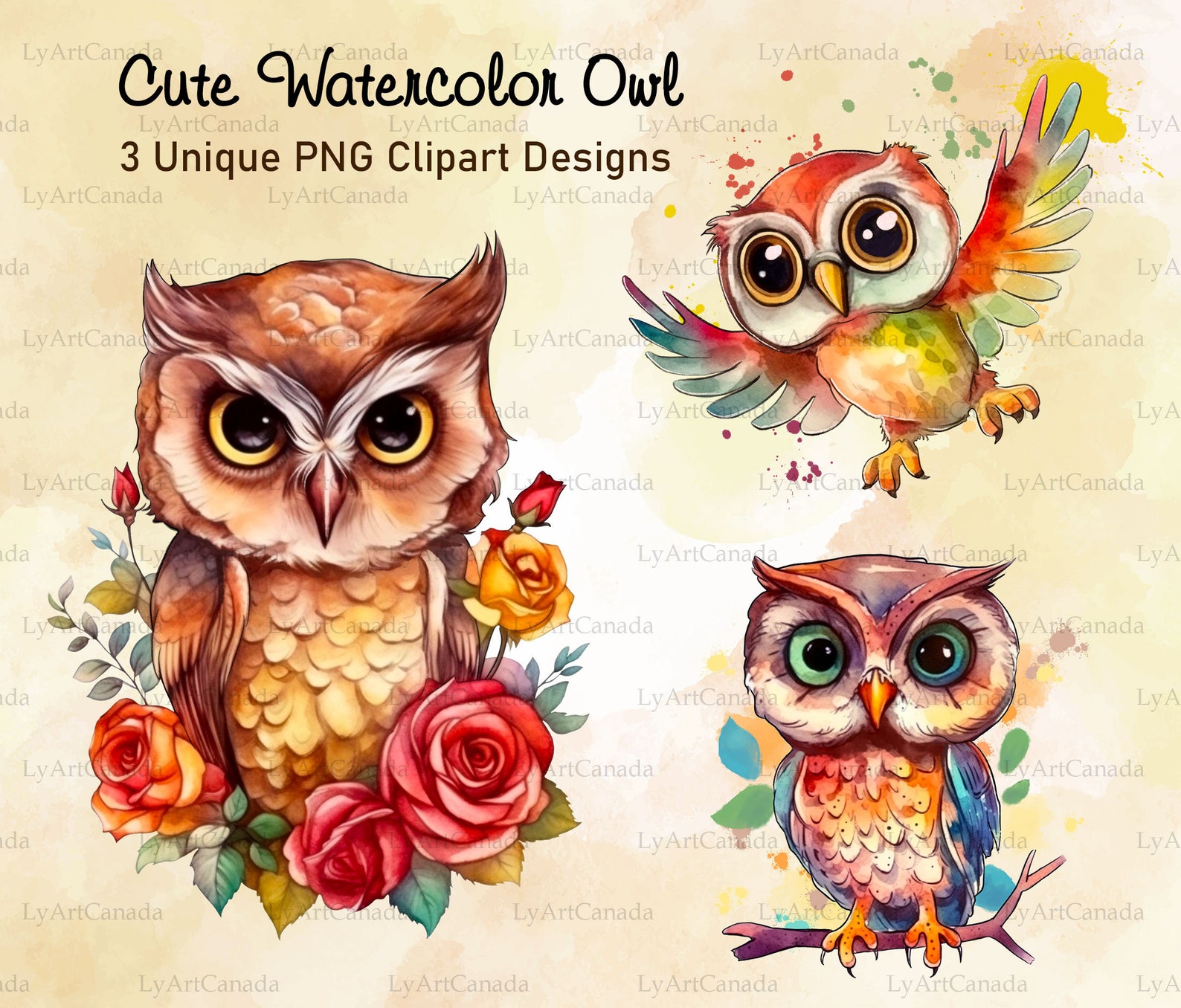 Cute Owl Clipart, Transparent Background, Watercolor Owl PNG, Owl Boho ...
