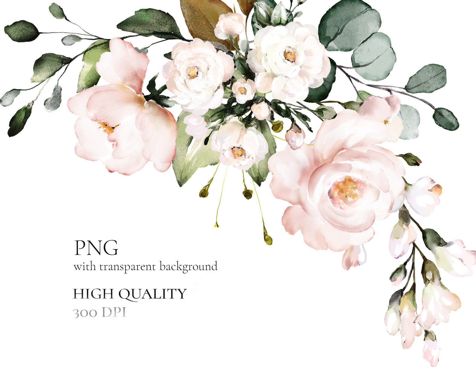 Watercolor Eucalyptus Flower Burgundy Roses Lisima Red Floral Set ...