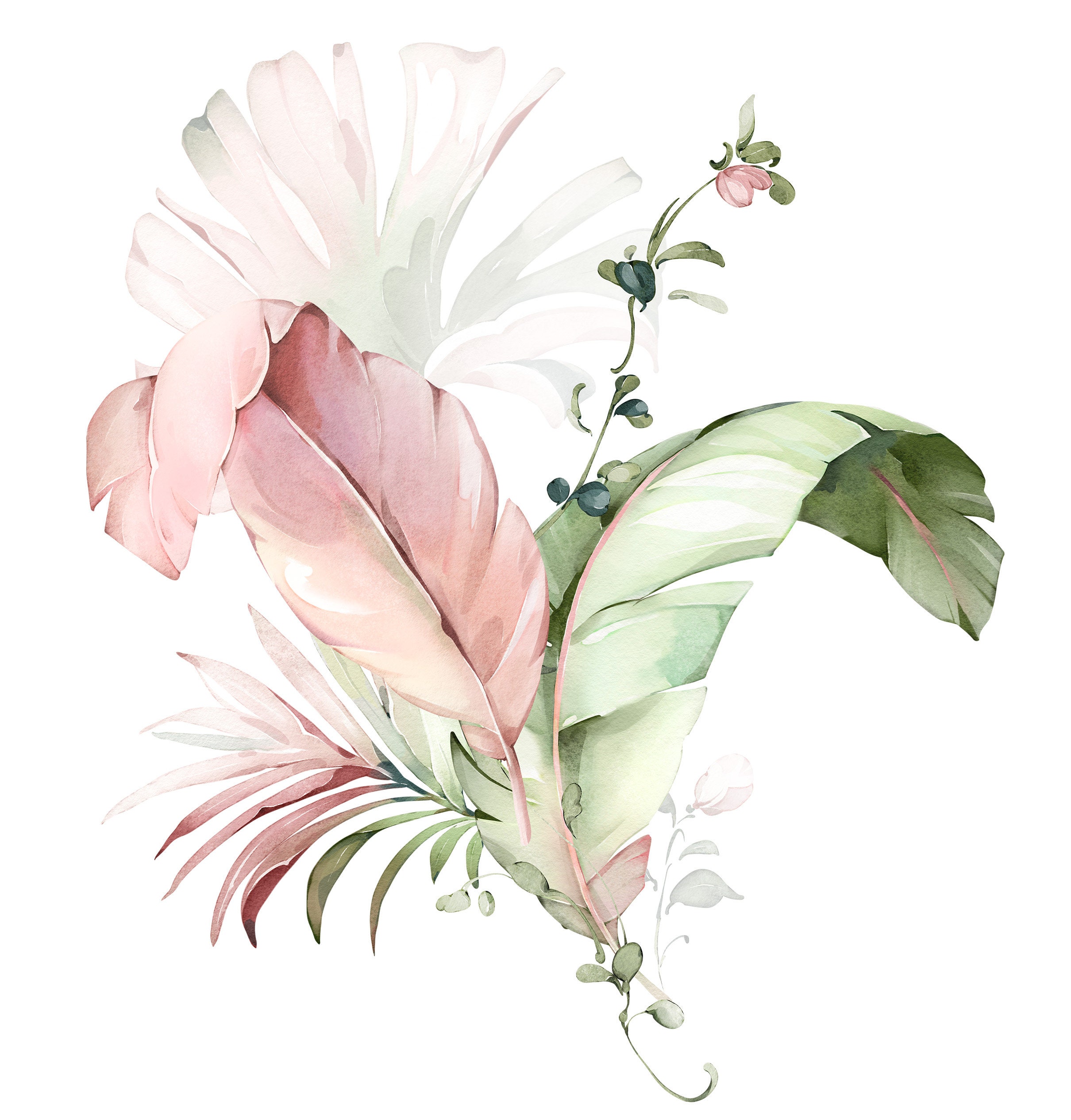 Watercolor Tropical Clipart, Exotic Flowers Clipart Watercolor Banana ...