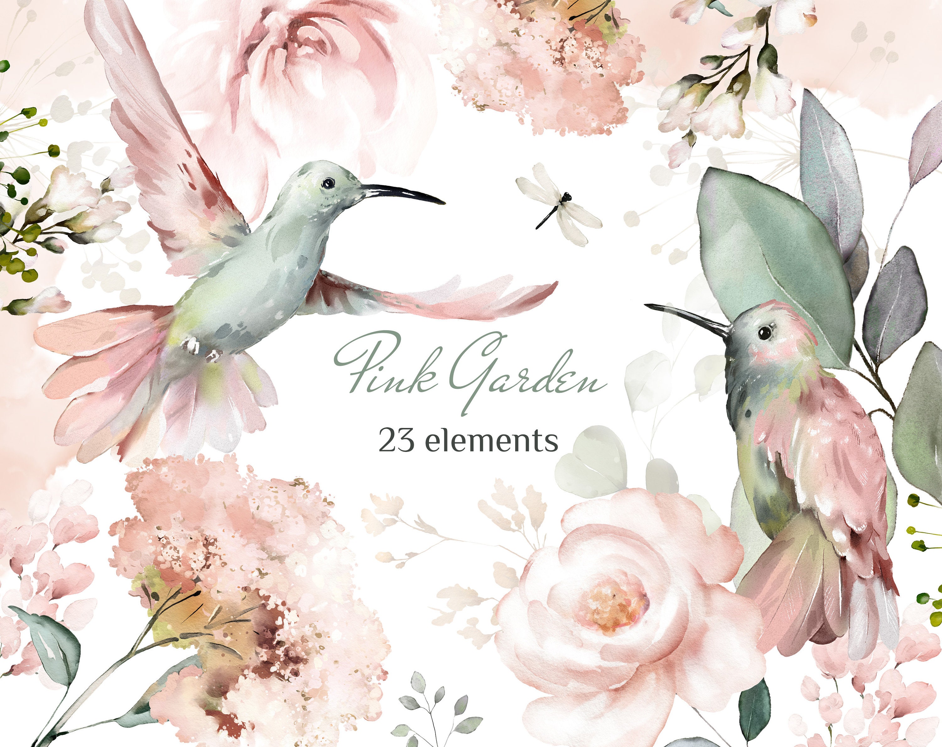 Watercolor Flower Pink Roses Birds Hummingbird Floral Garden - Etsy