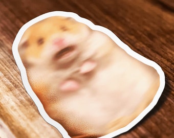 Hamster Meme Sticker - Etsy