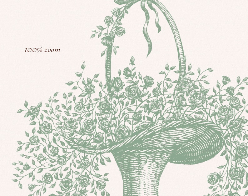 Green Rose Garden Png Eps Svg Floral Clipart Botanical - Etsy