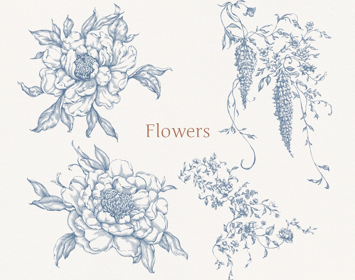 Autumn Flower, Png Eps Svg, Pattern, Classic Clip Art, French Roses ...