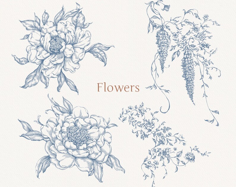 Autumn Flower, Png Eps Svg, Pattern, Classic Clip Art, French Roses ...