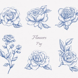Blue Rose Floral Clipart, PNG Digital Roses, Frames, Borders, Flowers ...