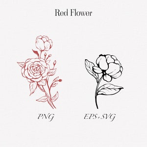 Red Flower Vintage Frames and Floral Motives Eps + Svg +png, Wedding ...
