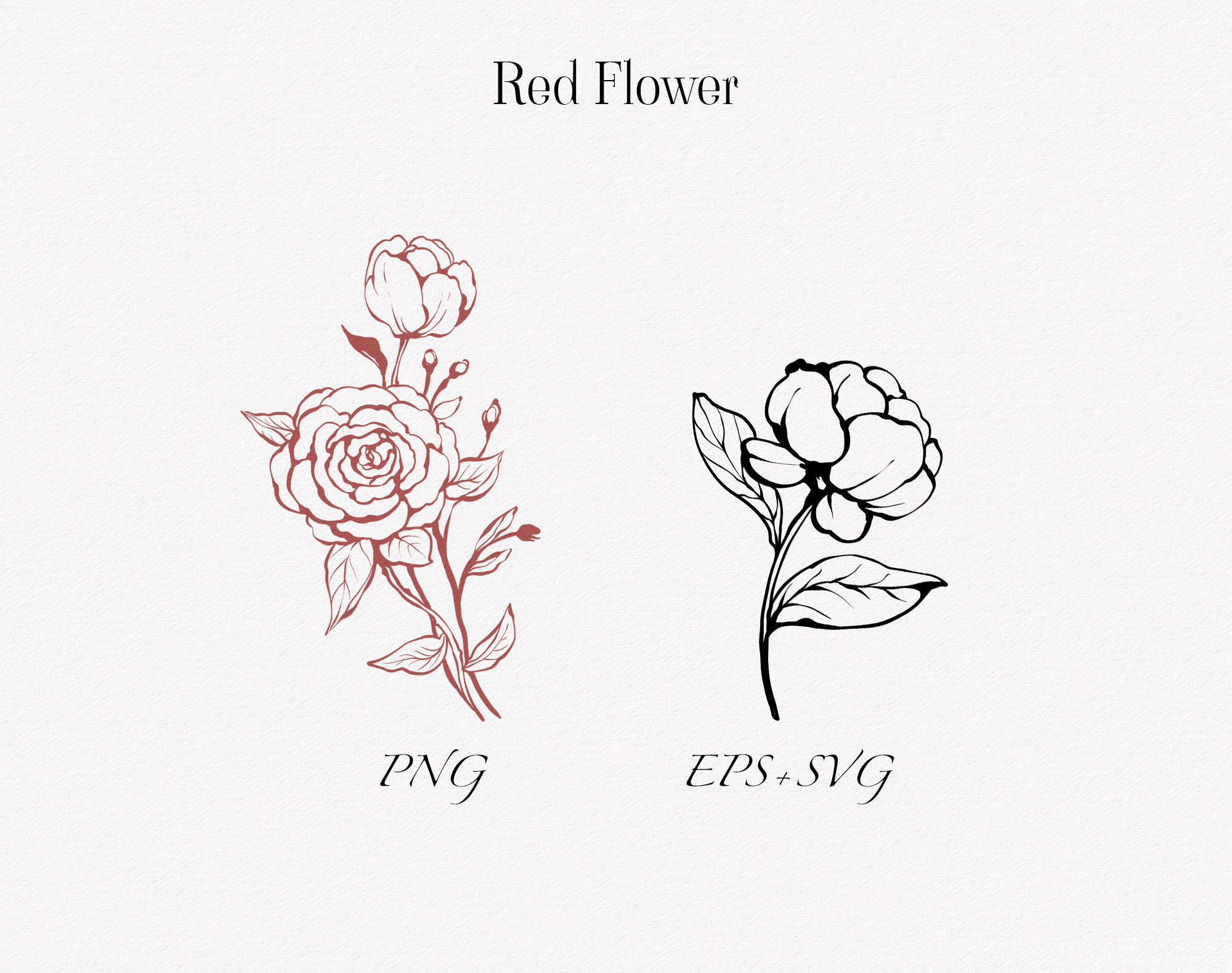 Red Flower Vintage Frames and Floral Motives Eps Svg png - Etsy