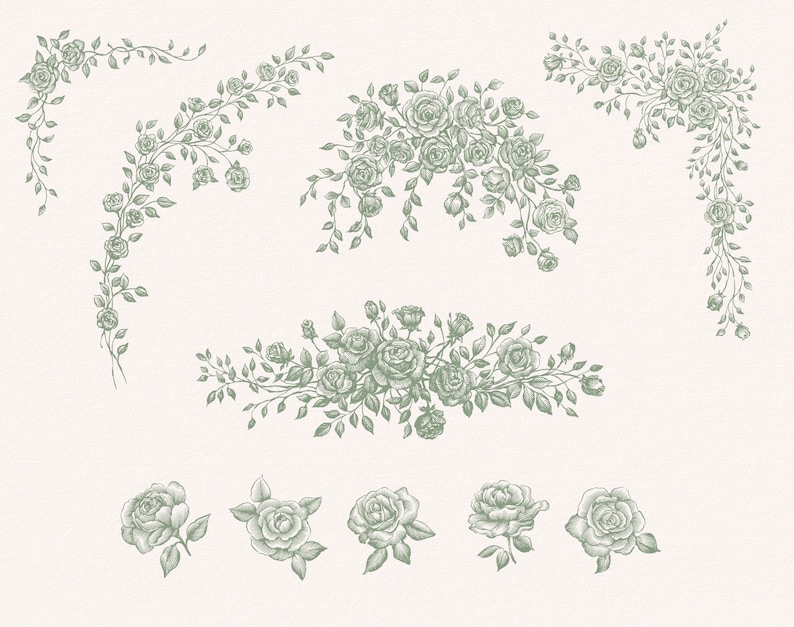 Green Rose Garden Png Eps Svg Floral Clipart Botanical - Etsy