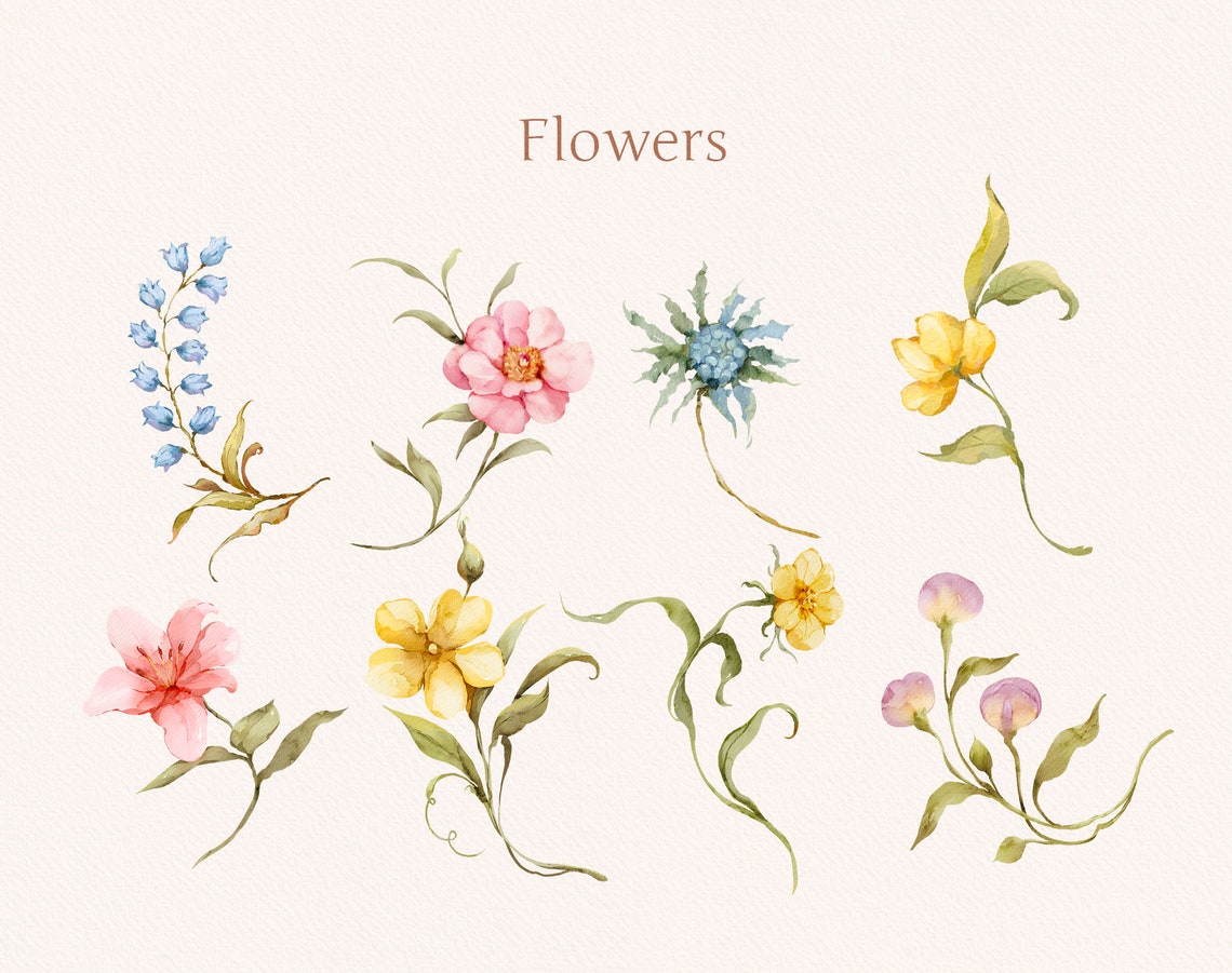 Wild Flower 20 Watercolor Flowers PNG Botanical Clipart - Etsy