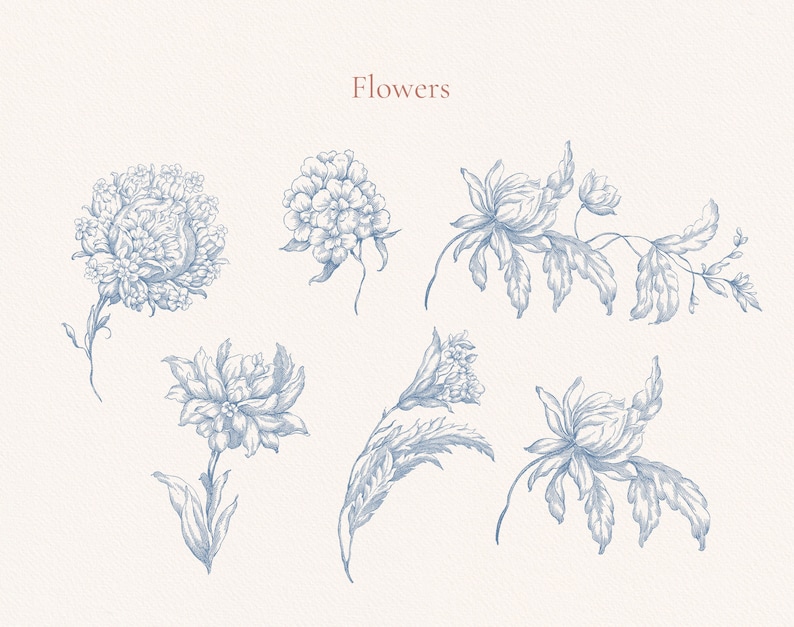 Blue Flower Poetry Eps Svg Png, Vintage Vector Plants, Botanical Ink ...