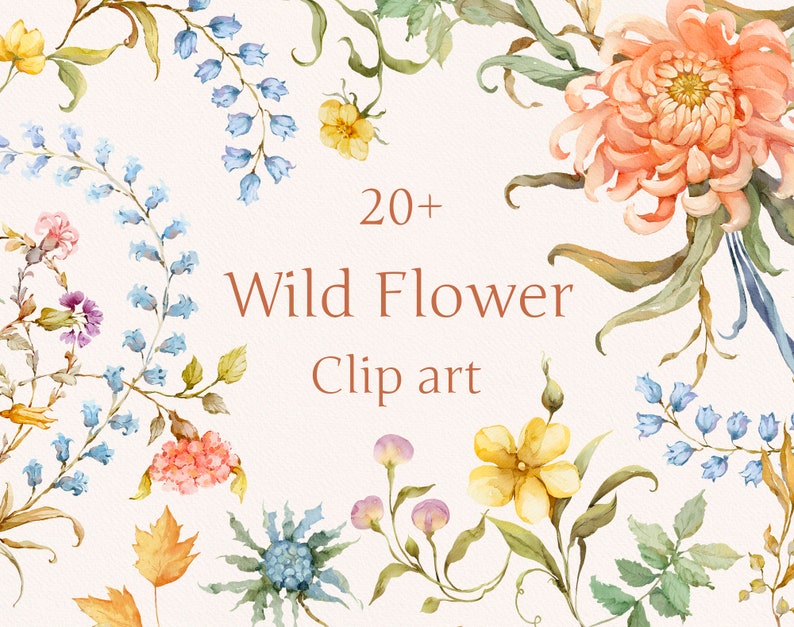 Wild Flower 20+, Watercolor Flowers PNG, Botanical Clipart, Meadow ...