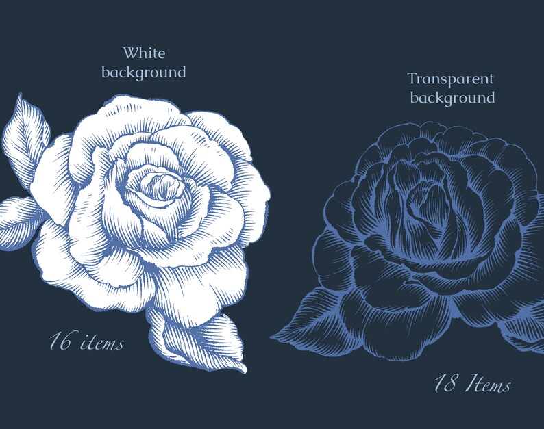 Blue Rose Floral Clipart PNG Digital Roses Frames Borders - Etsy
