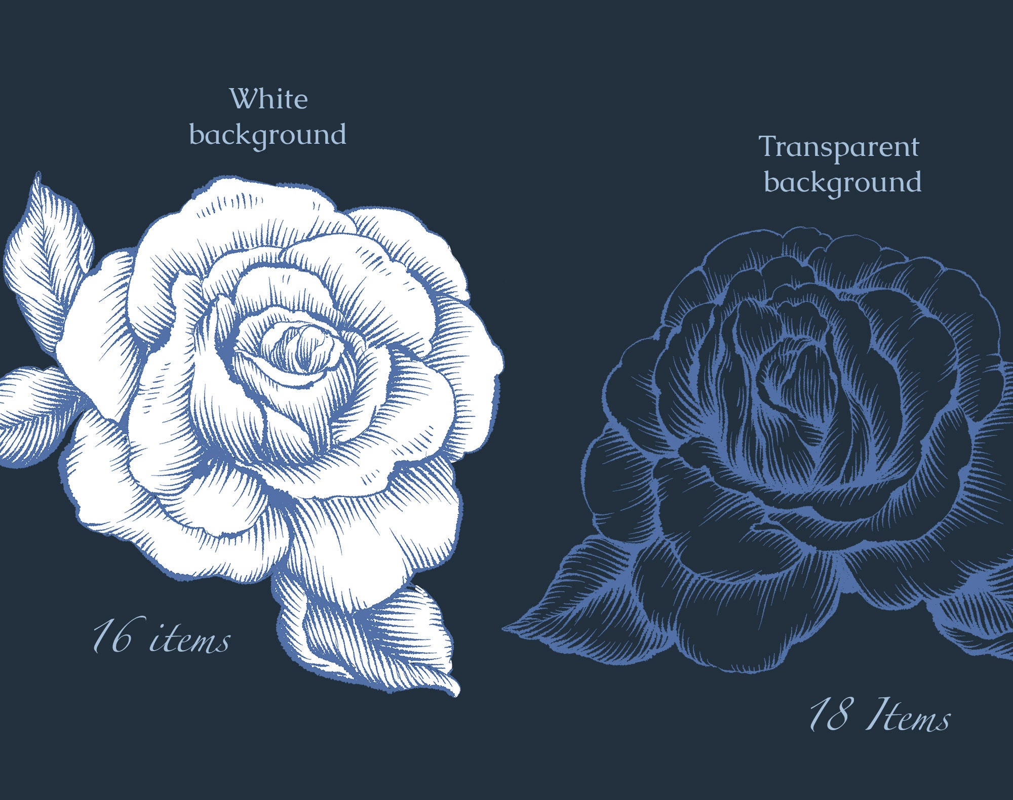 Blue Rose Floral Clipart, PNG Digital Roses, Frames, Borders, Flowers ...