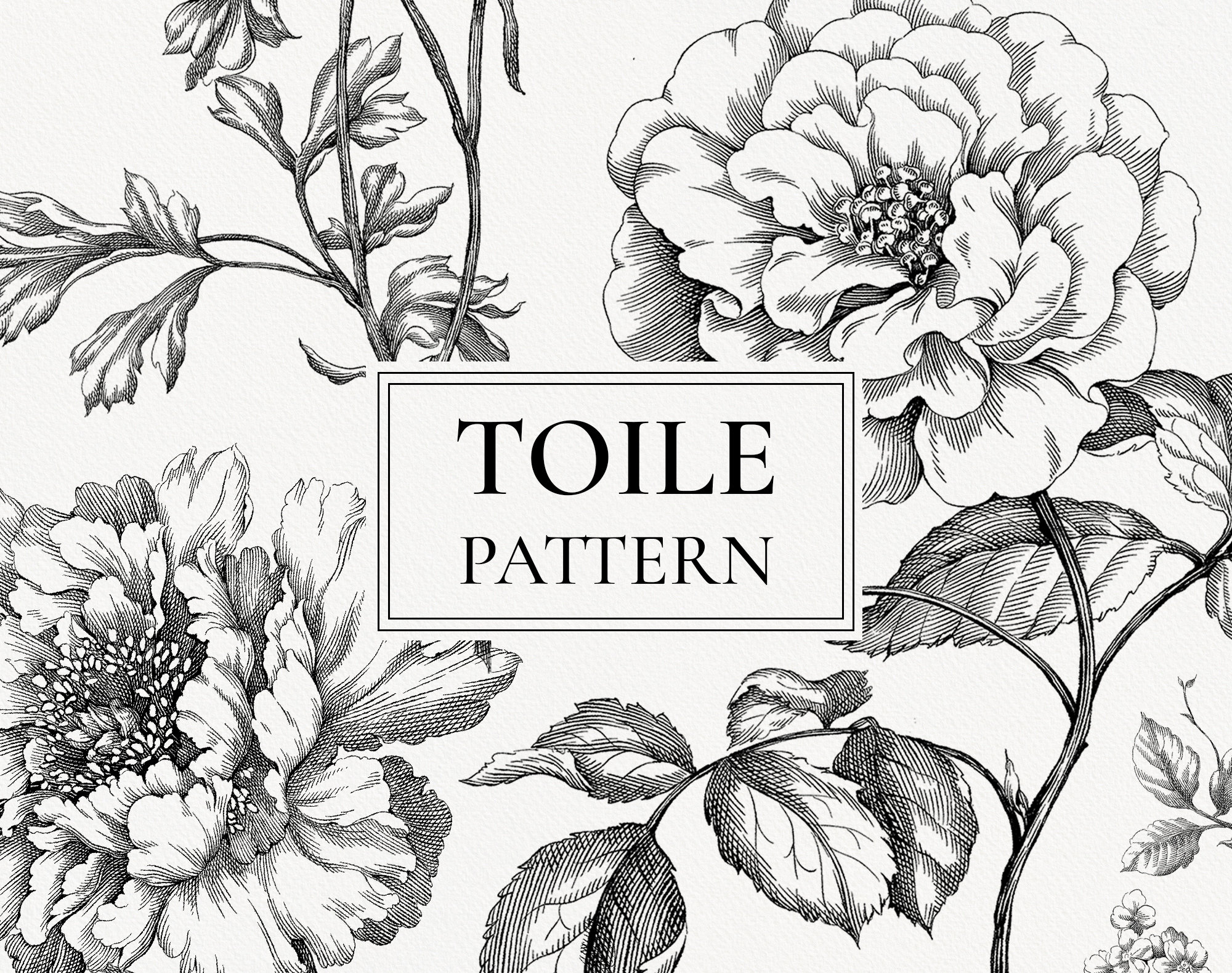 Toile Pattern, Png Vintage Floral Clipart, Fine Art Flower, Rose Line ...