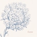 Blue Flower Poetry Eps Svg Png, Vintage Vector Plants, Botanical Ink ...