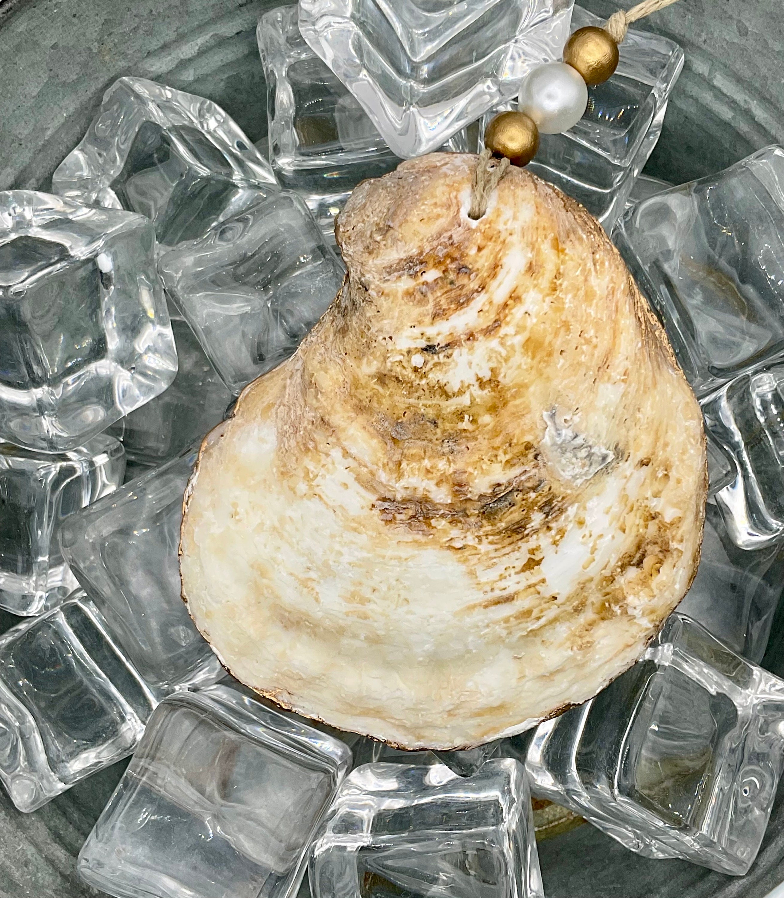 Savannah Georgia Forsyth Park Fountain Oyster Shell Ornament - Etsy