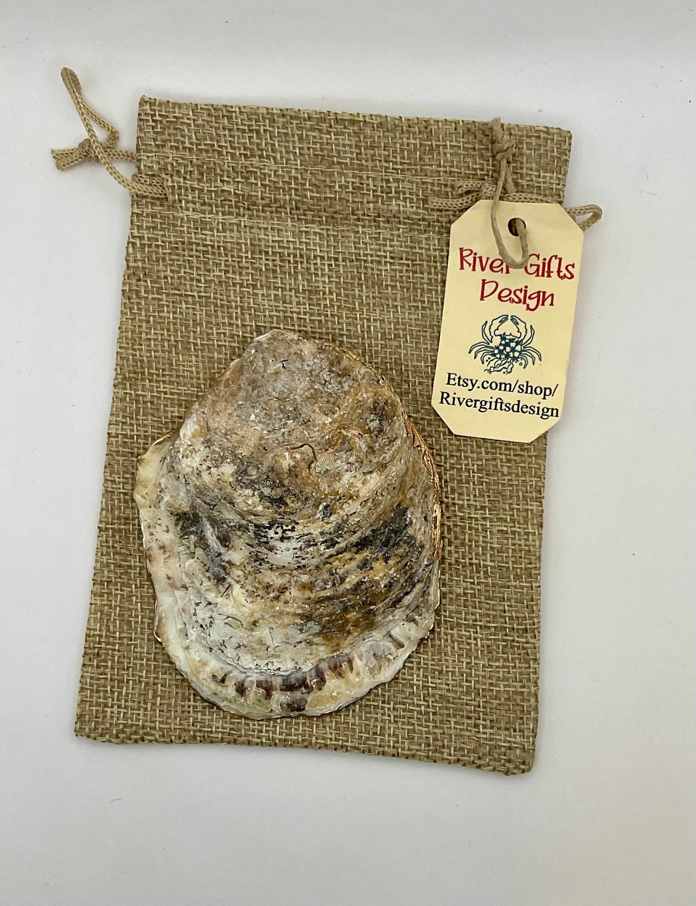 Hilton Head Island, SC Nautical Map Oyster Shell Trinket Ring Dish - Etsy