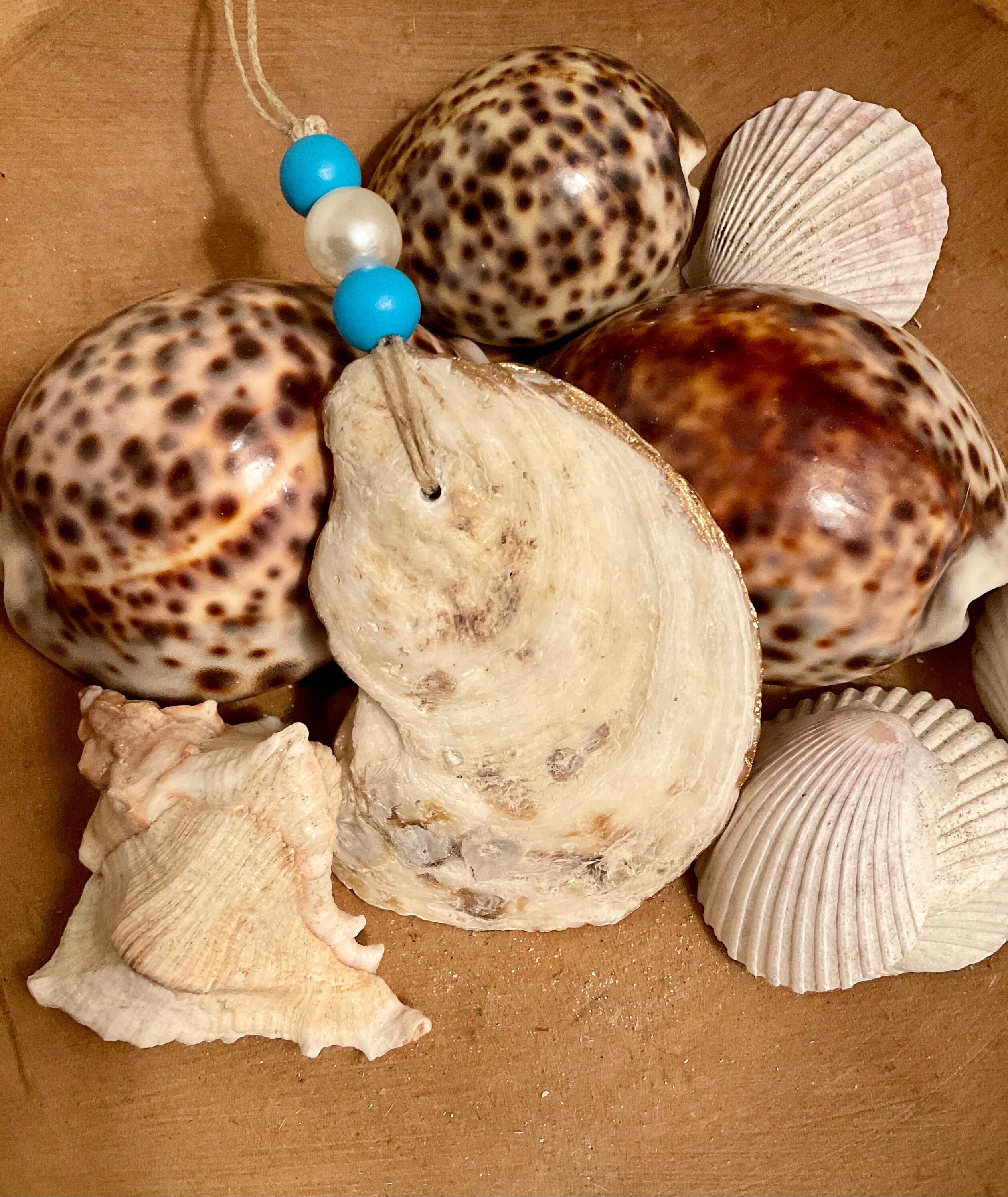 Coastal Christmas Tree Oyster Shell Ornament - Etsy