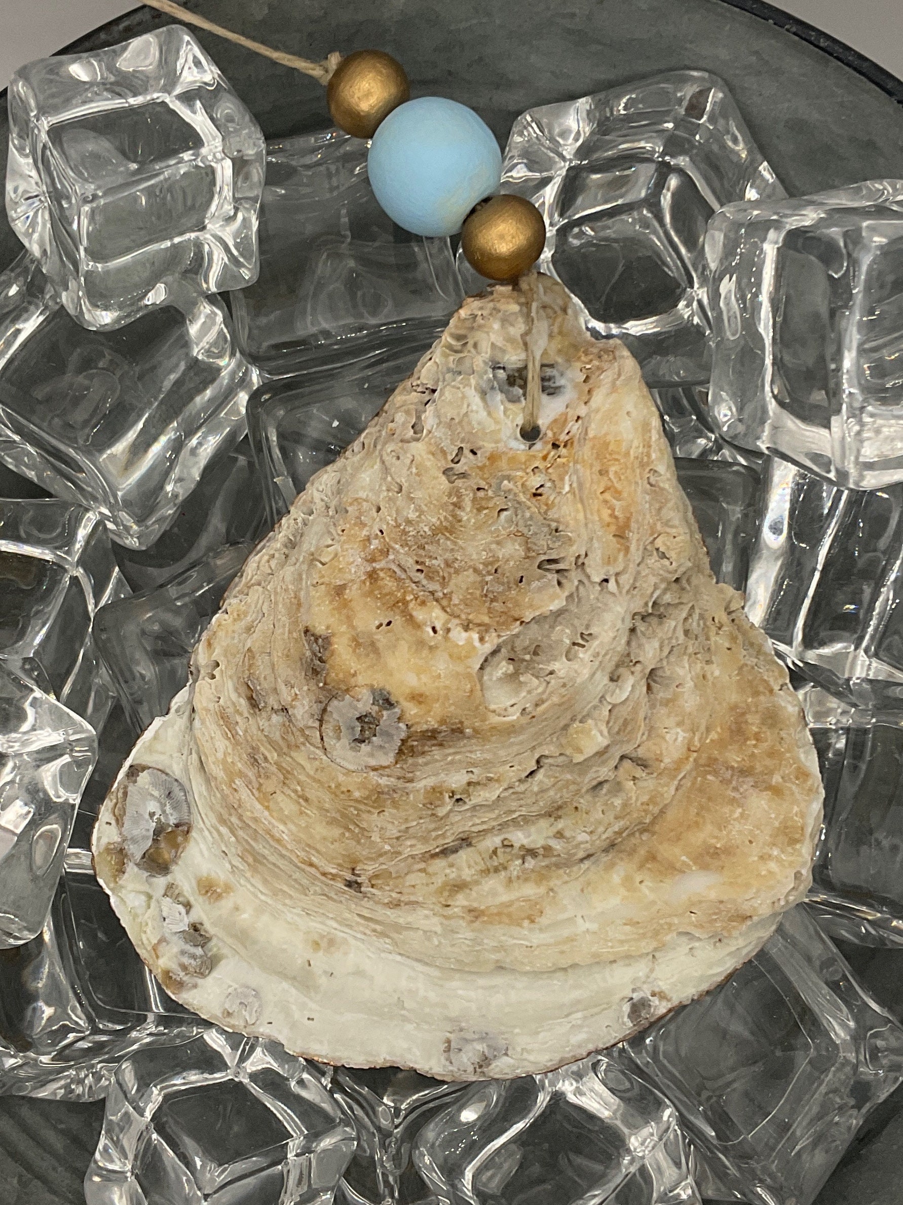 Beaufort South Carolina Map Oyster Shell Ornament - Etsy