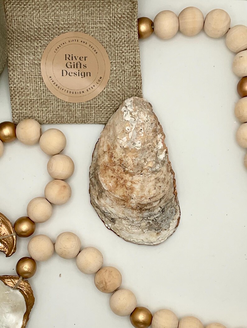 Savannah Georgia Forsyth Park Fountain Oyster Shell Trinket Ring Dish ...