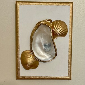 Shells on Canvas Oyster Shell Art - Etsy