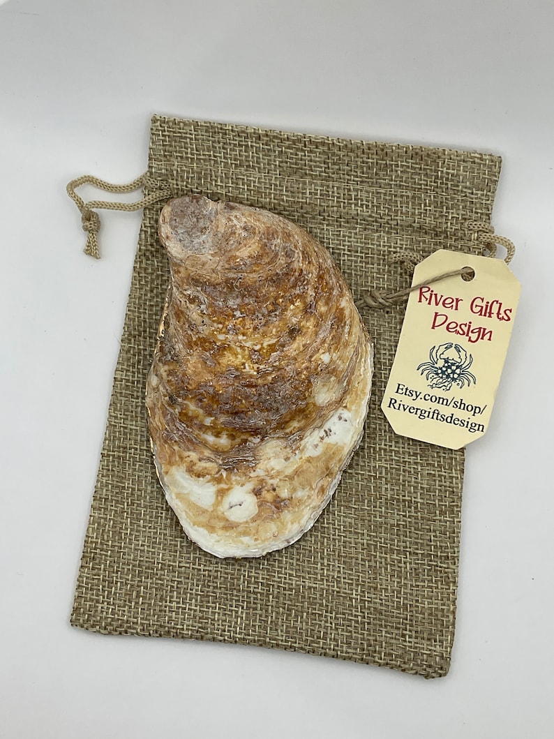 Key West, Florida Nautical Map Oyster Shell Trinket Ring Dish - Etsy