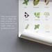Types of Spices Poster, Spices Guide Print, Kitchen Wall Art, Pot Herbs ...