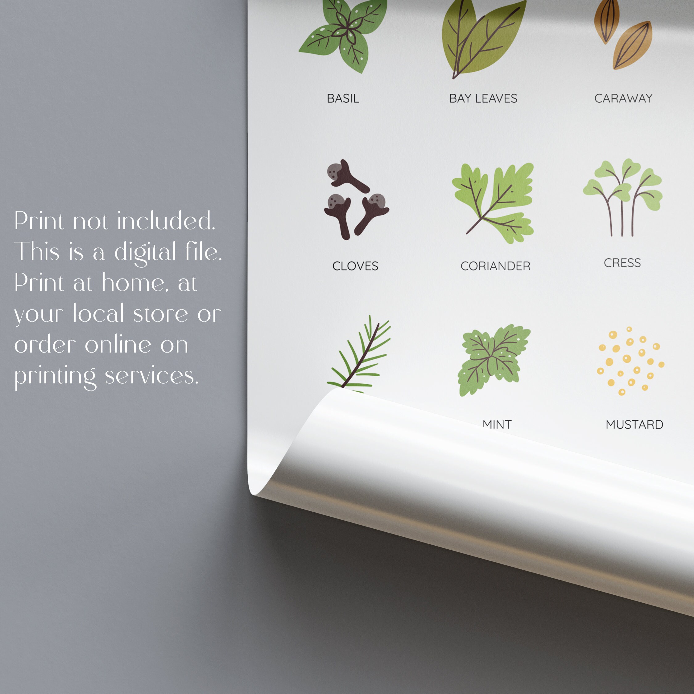 Types of Spices Poster, Spices Guide Print, Kitchen Wall Art, Pot Herbs ...