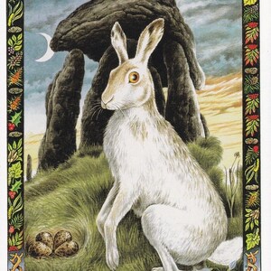 The Druid Animal Oracle Deck 36 Cards and 48 Page Booklet, Druid Tarot ...