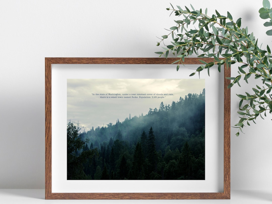 Twilight Premium Matt Poster - Etsy