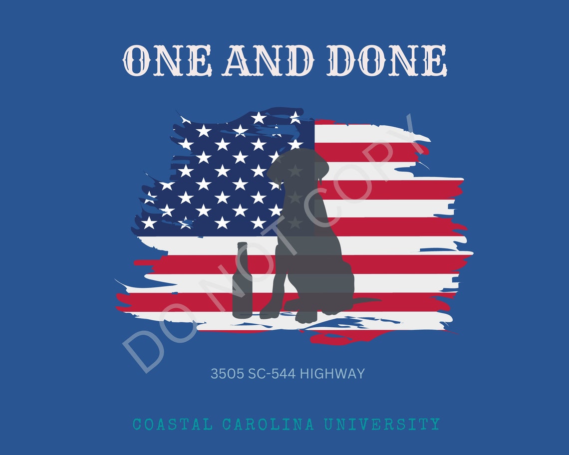 Coastal Carolina University CCU Coastal Chanticleer - Etsy