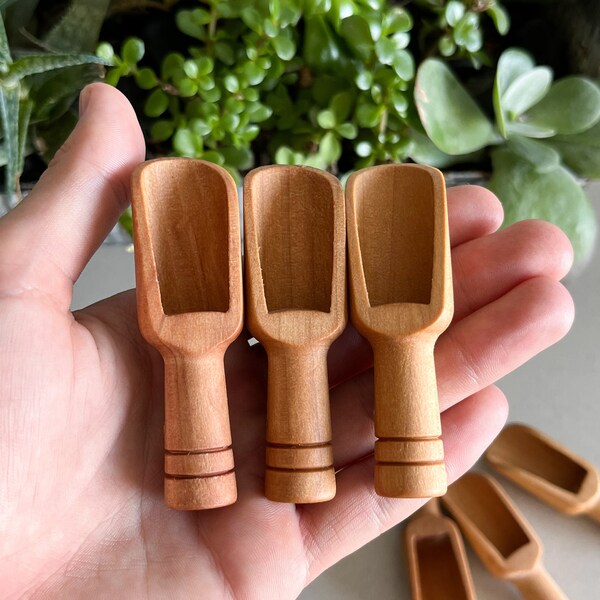 Salt Scoop - Etsy